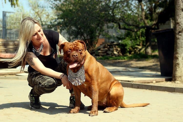 Spay vs Neuter Your Pet: An Expert Guide to the Benefits and Challenges ...