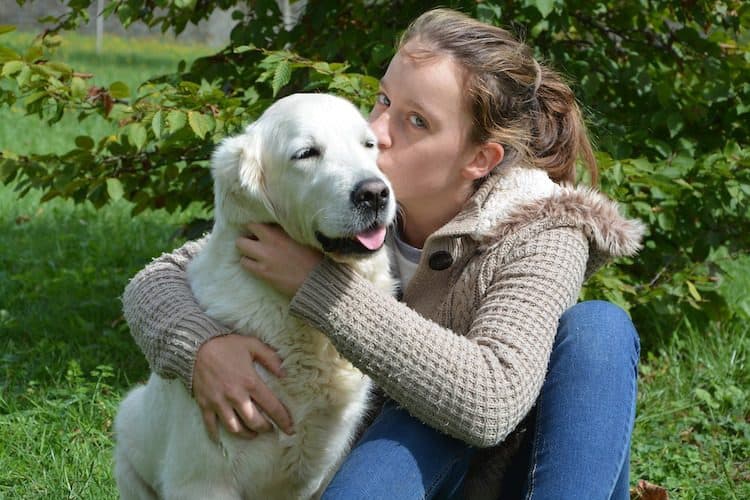 Spay vs Neuter Your Pet: An Expert Guide to the Benefits and Challenges ...