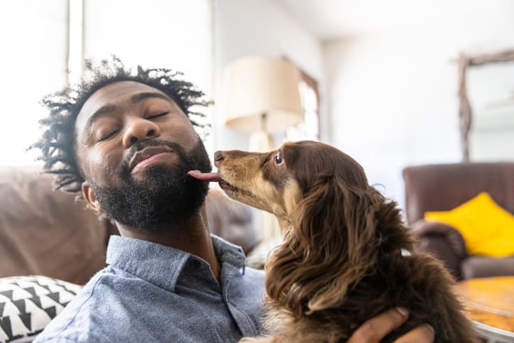 When a Dog Barks at Men: Understanding Mollie’s Fear and the Training ...