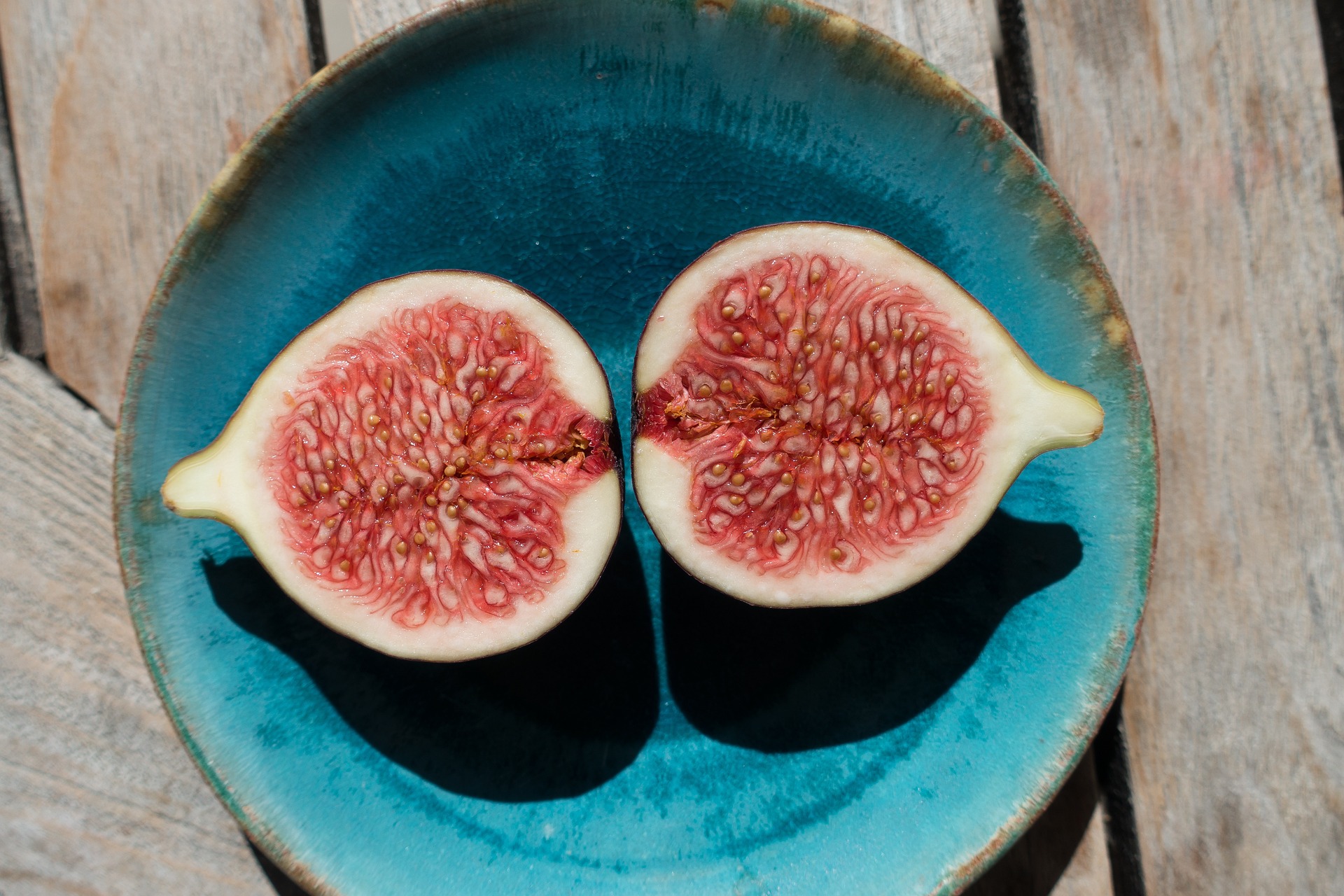 Can Dogs Eat Figs? A Comprehensive Guide - Petful
