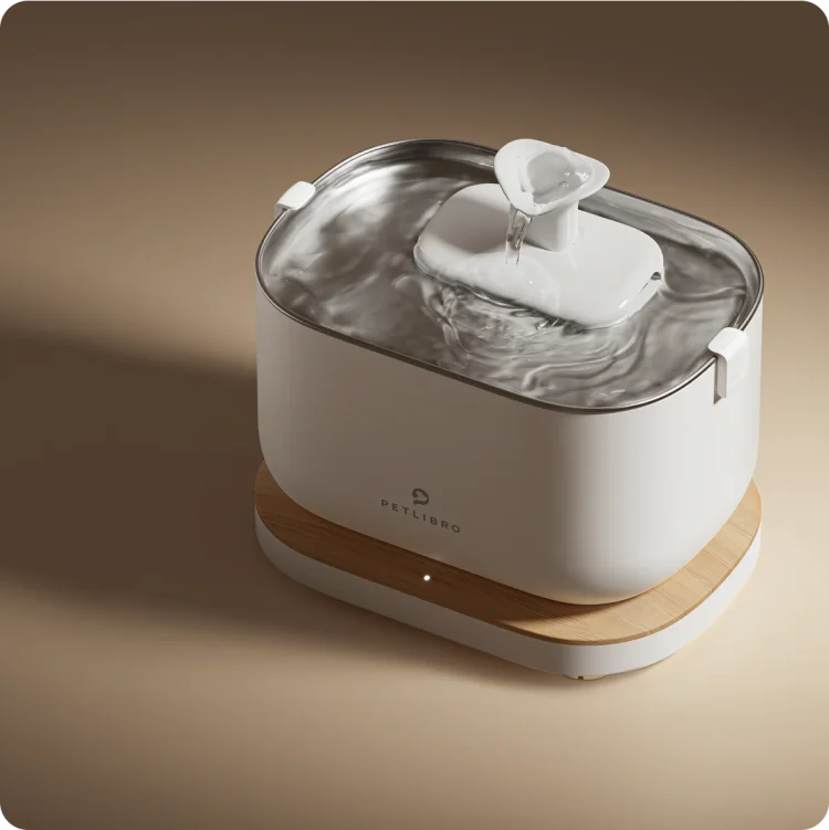 PetLibro Pet Products Review (Brand) - Complete Buyer’s Guide - Petful