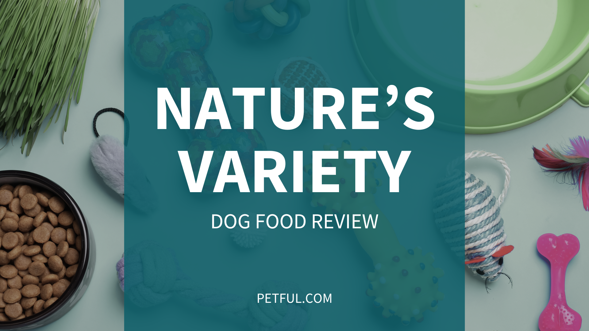 Nature's Variety Dog Food Review (Brand) - Complete Buyer’s Guide - Petful