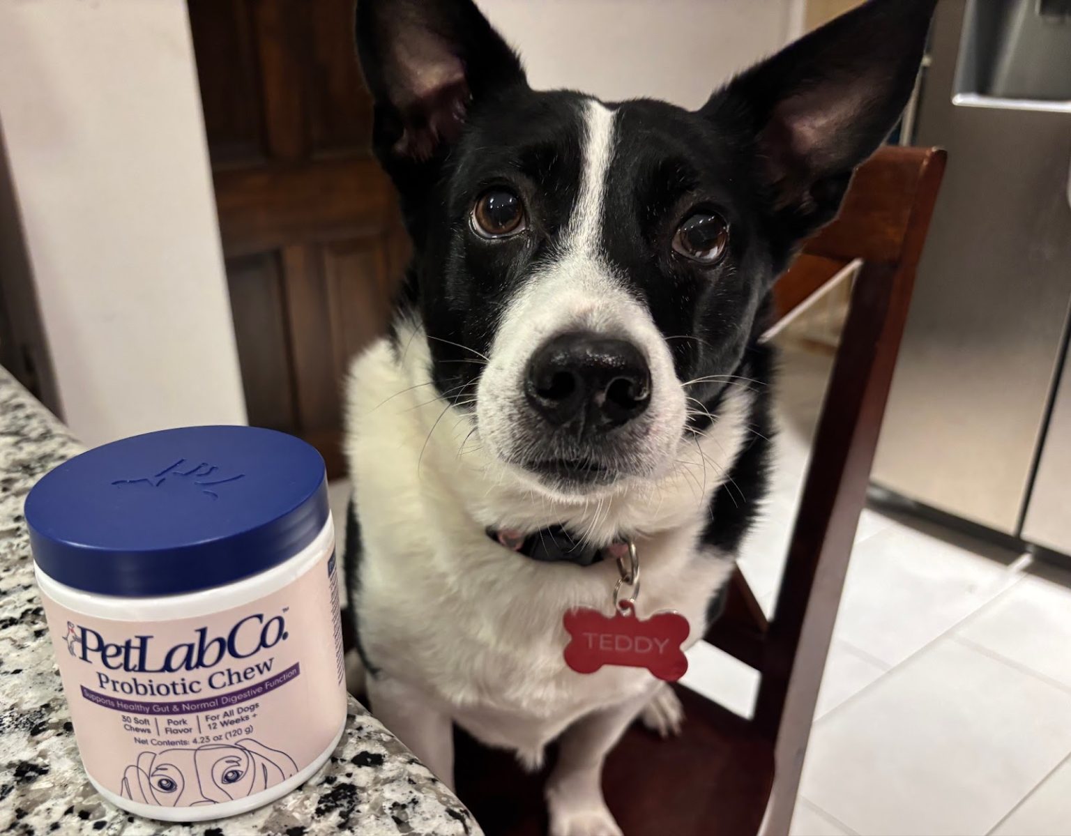 PetLab Co Probiotics and More Spotlight: Are These Dog Supplements ...