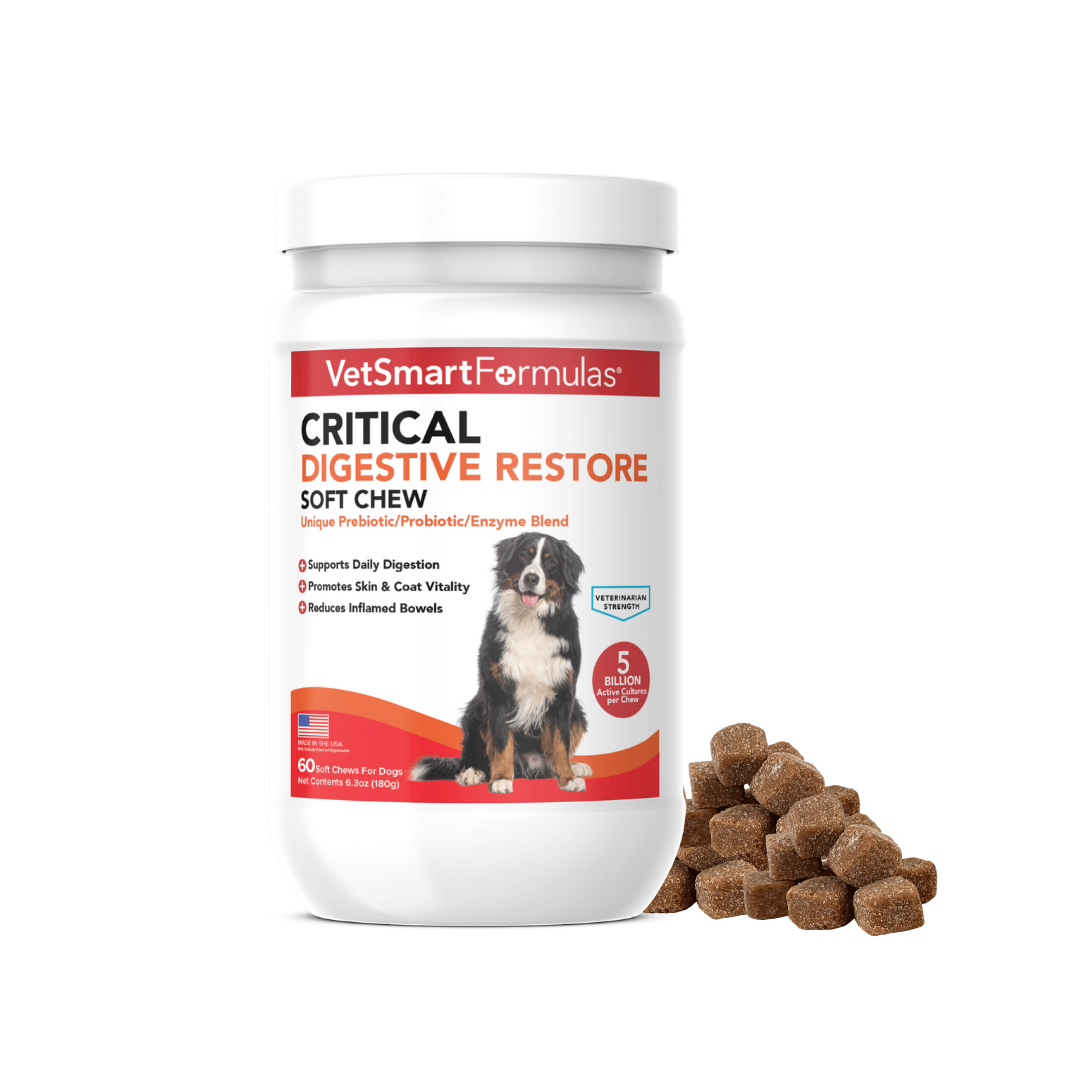 Pet Wellness Direct Spotlight: VetSmart Critical Line Puts Pet Health ...