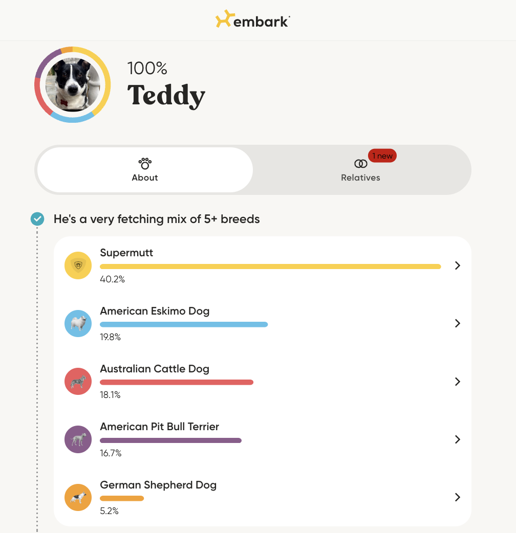 Embark Dog DNA Test Review - Petful